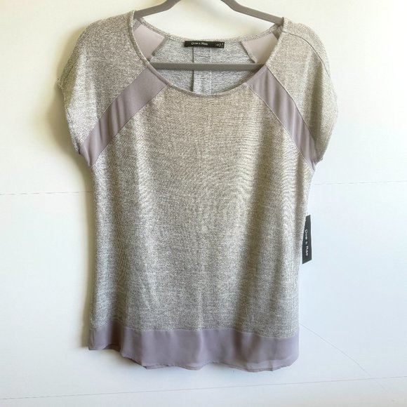 Doe & Rae | Tops | Nwt Doe Rae Metallic Shimmer Top With Mesh Details ...